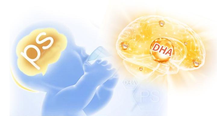 PS磷脂酰丝氨酸PK二十二碳六烯酸DHA，到底哪家强？ - 知乎