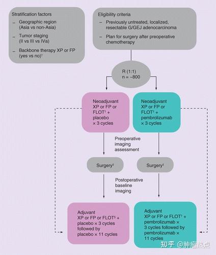 KEYNOTE-585研究的最新进展 - 知乎