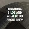 Functional silos 是什么意思？具体怎么翻译？ - 知乎