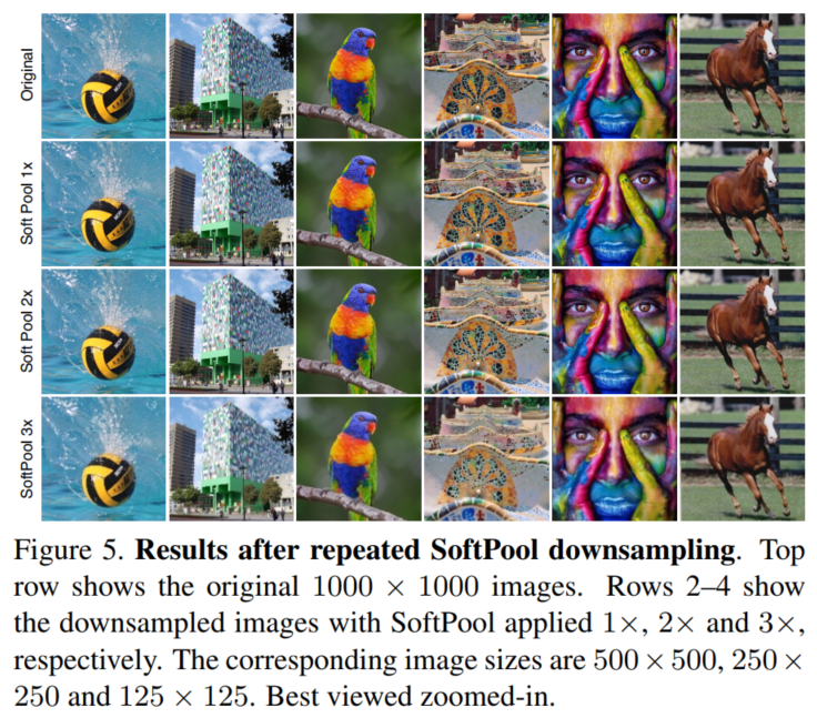 涨点Trick | 你还在用MaxPooling和AvgPooling？SoftPool带你起飞 - 知乎
