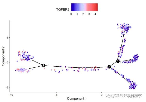 跟着Cell学单细胞转录组分析(十):Monocle2拟时分析演示之结果可视化（下） - 知乎