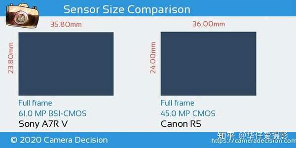 索尼A7R5与佳能R5详细对比来啦，该选谁看完秒懂 - 知乎