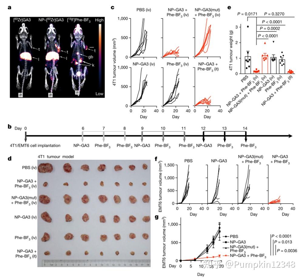 肿瘤特异性生物正交反应——实现肿瘤精准释药 - 知乎