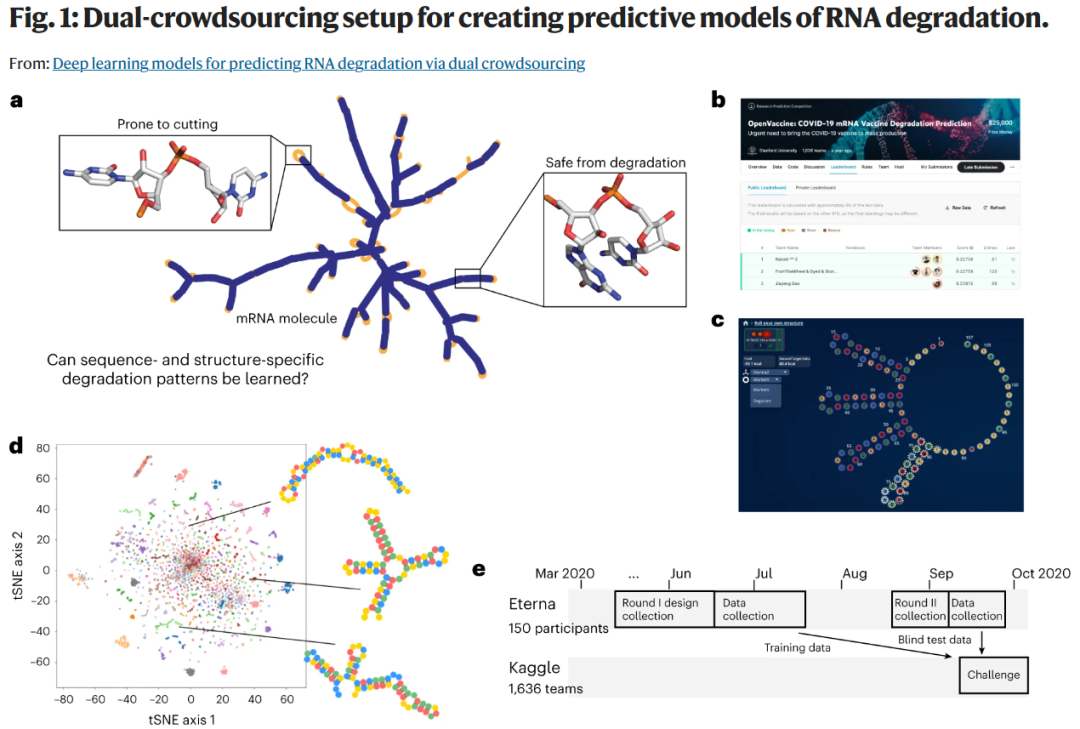 Nat.Mach.Intell.| 基于双重众包的RNA降解预测模型 - 知乎