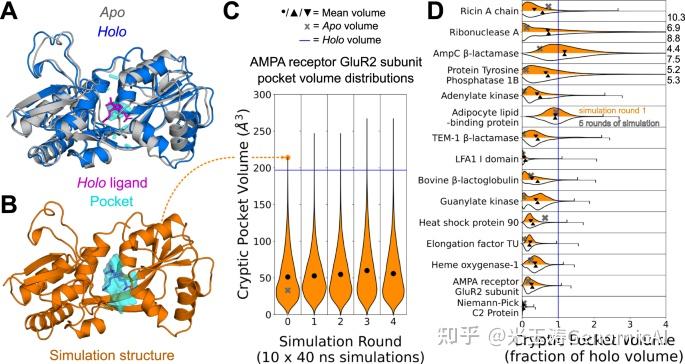 Nature Com|AI精确预测隐蔽的蛋白口袋 - 知乎
