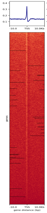 ATAC-seq-TSS富集图-deeptools-学习笔记 - 知乎