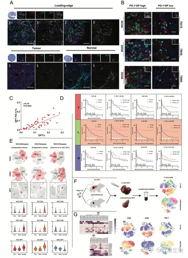一区顶刊:国家肝癌中心用多组学技术解析双阳性细胞轨迹和特征 - 知乎