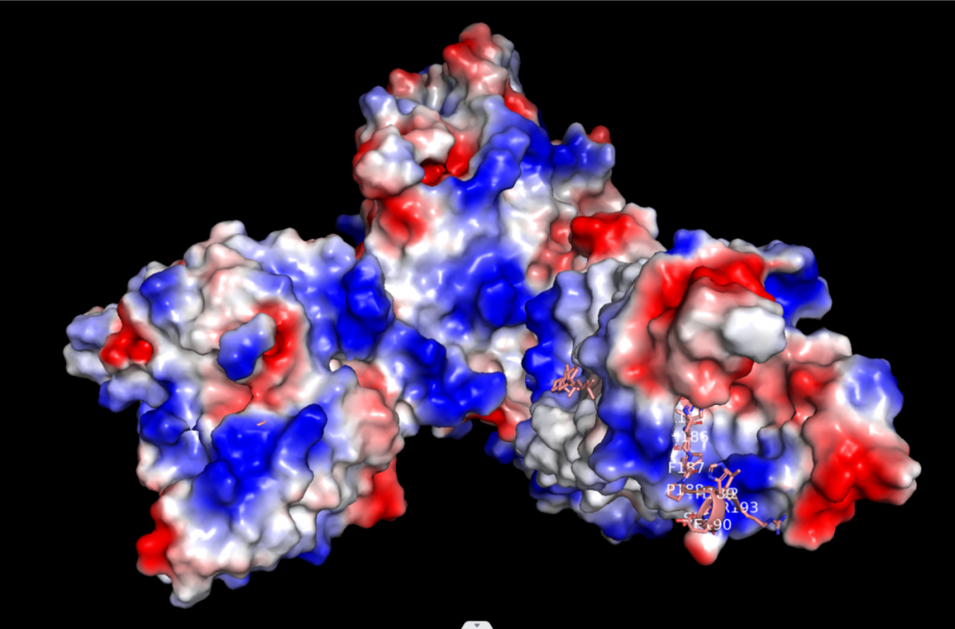 百图生科大模型体系“xTrimo”，能否创造生命科学领域的“ChatGPT时刻”？ - 知乎