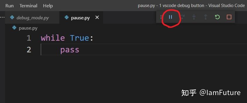 【新手向】Python x VS Code debug按钮 与 进阶debug介绍 - 知乎
