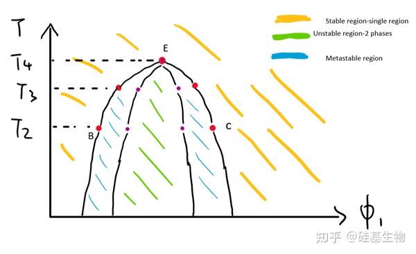 UCST, LCST and polymer solution mixing（聚合物溶液的混合，自由能-组分曲线与温度-组分图） - 知乎