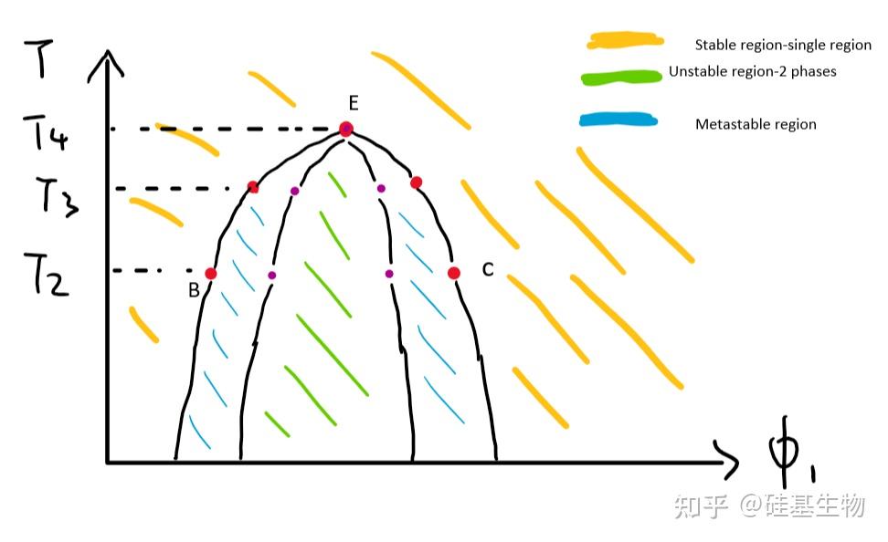 UCST, LCST and polymer solution mixing（聚合物溶液的混合，自由能-组分曲线与温度-组分图） - 知乎
