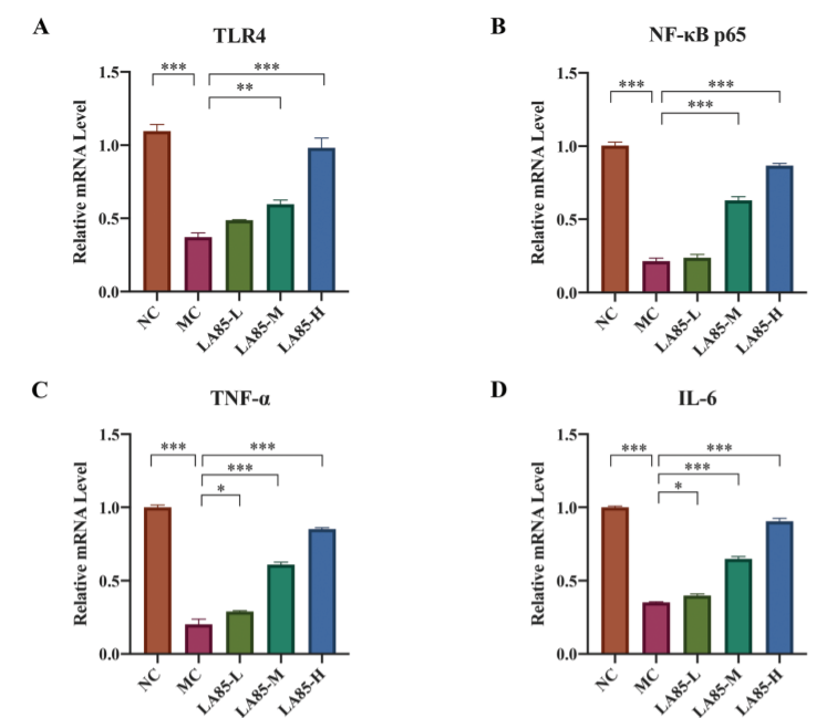 微·益菌 |嗜酸乳杆菌LA85通过调节肠道微生物群从而改善环磷酰胺诱导的免疫抑制 - 知乎