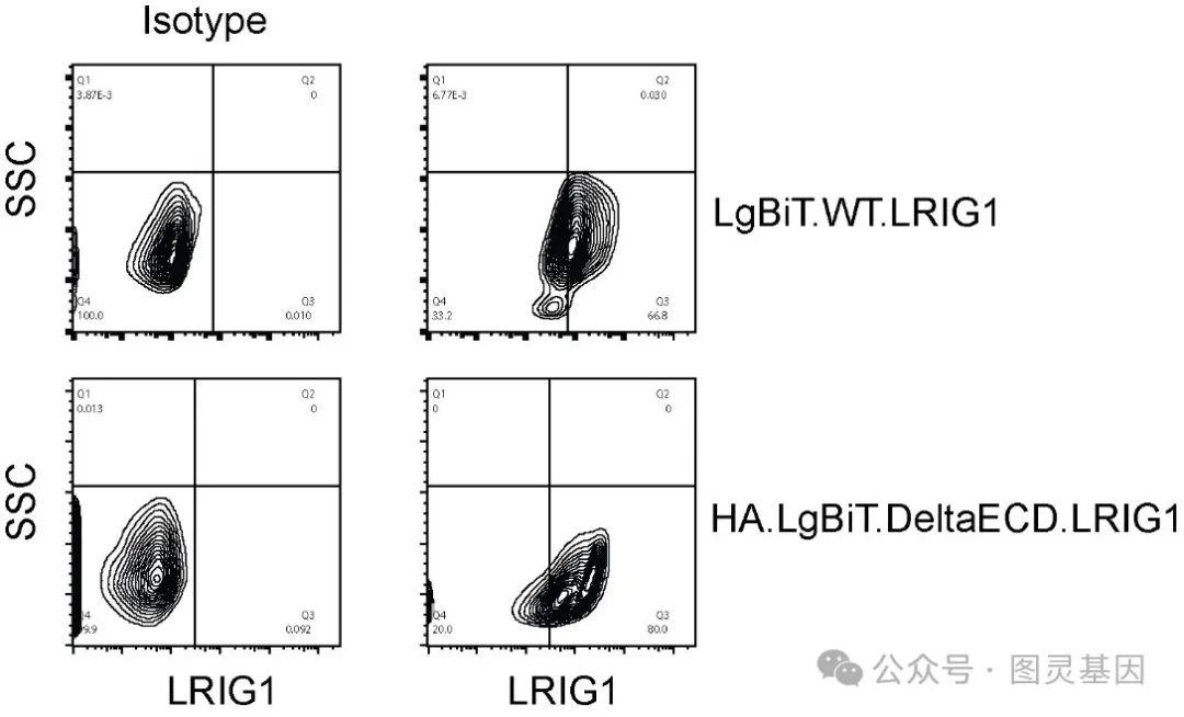 Sci Immu | T细胞抑制性检查点VISTA蛋白，癌症免疫治疗新靶点 - 知乎