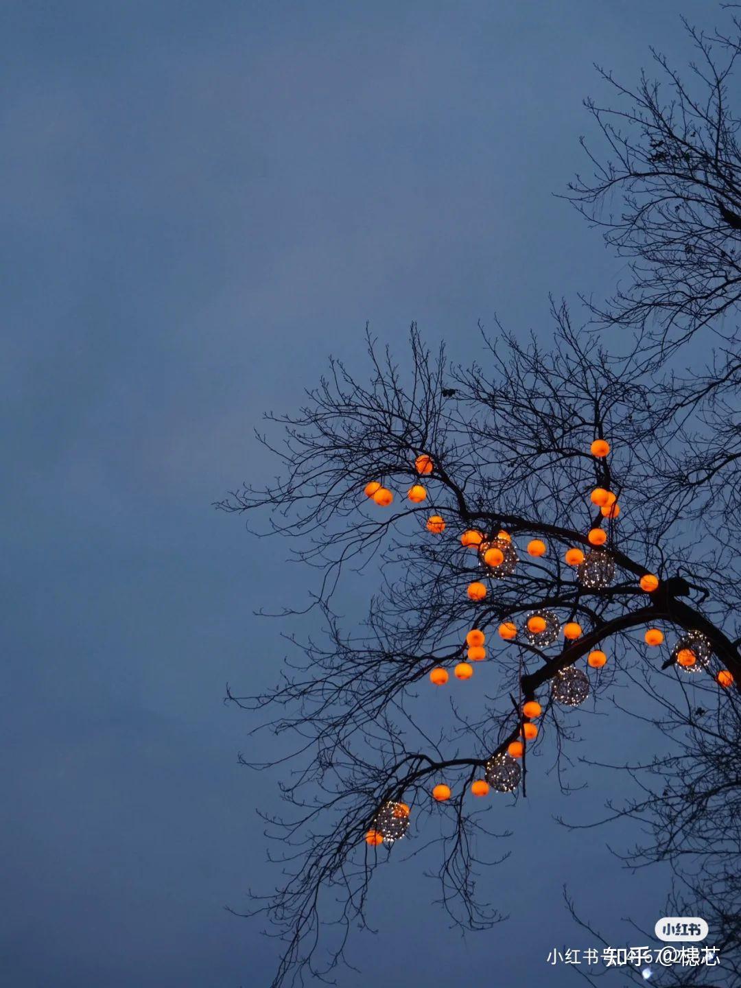 2022让我emoo的事件 - 知乎