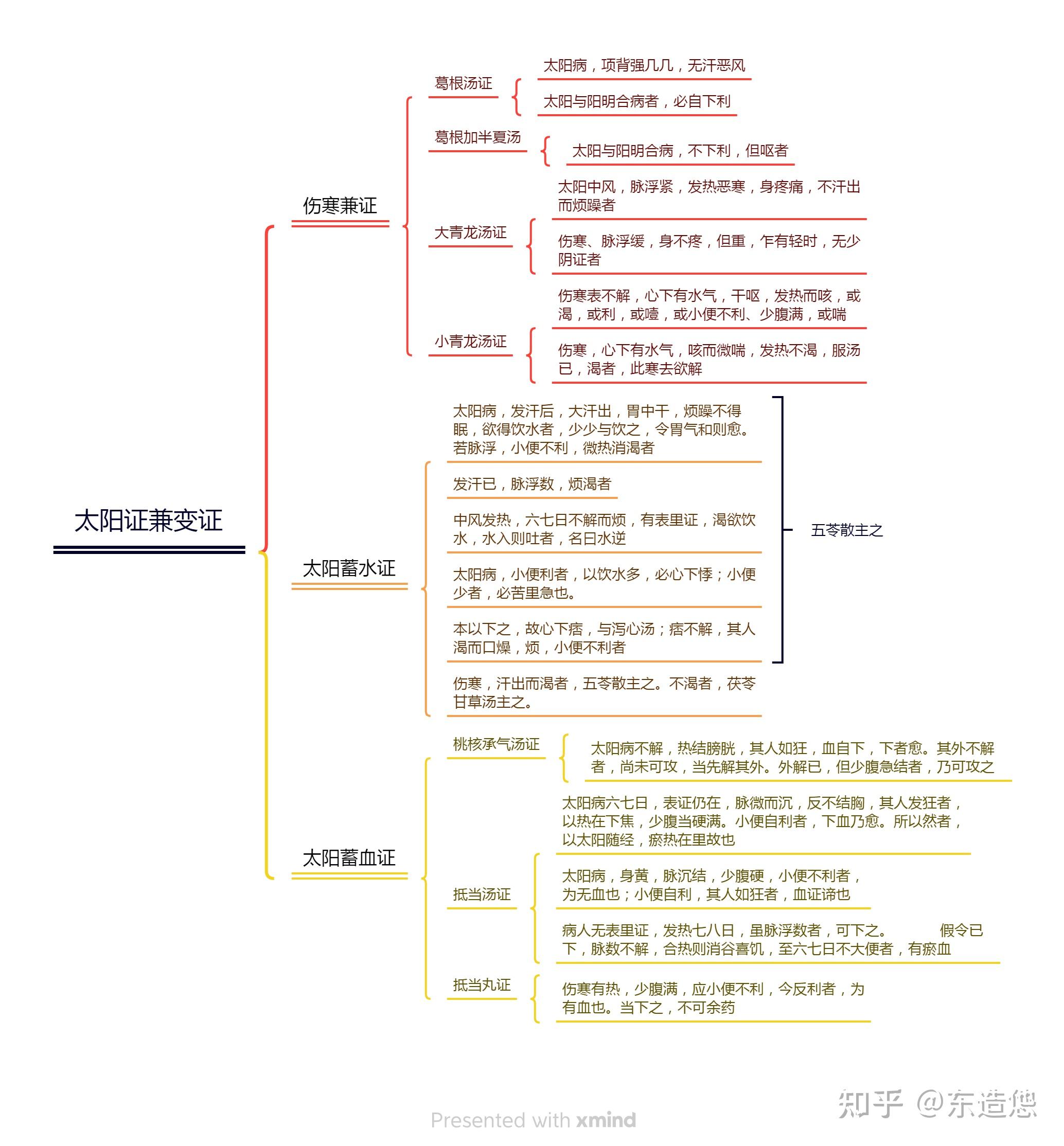 伤寒论思维导图（精炼版） 知乎