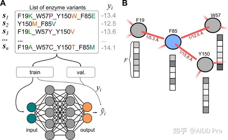 JCTC | 利用谱图卷积神经网络可实现酶变异体的超高通量筛选 - 知乎
