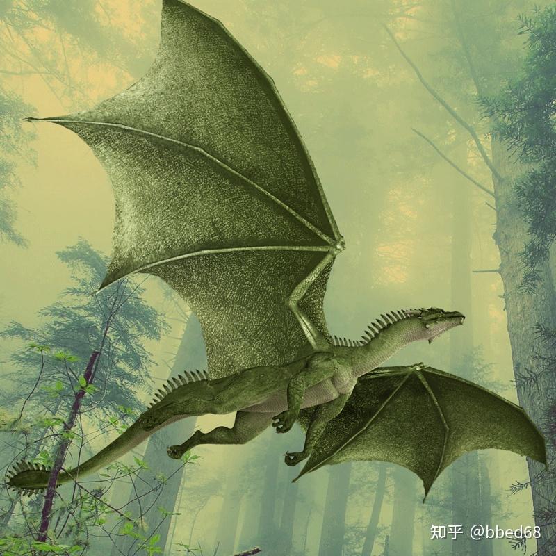 Eastern Dragon VS Western Dragon - 知乎