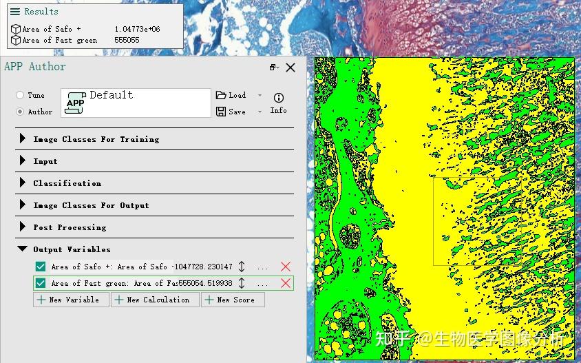 番红固绿染色（Safranin O/Fast green staining）分析 - 知乎