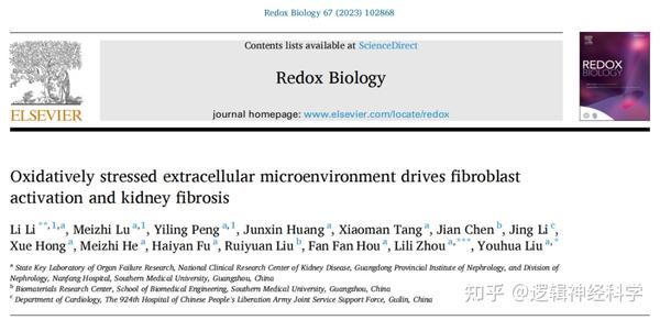 Redox Biol︱南方医科大学团队揭示肾脏纤维化的新机制：细胞外微环境氧化应激驱动成纤维细胞活化和肾纤维化 - 知乎