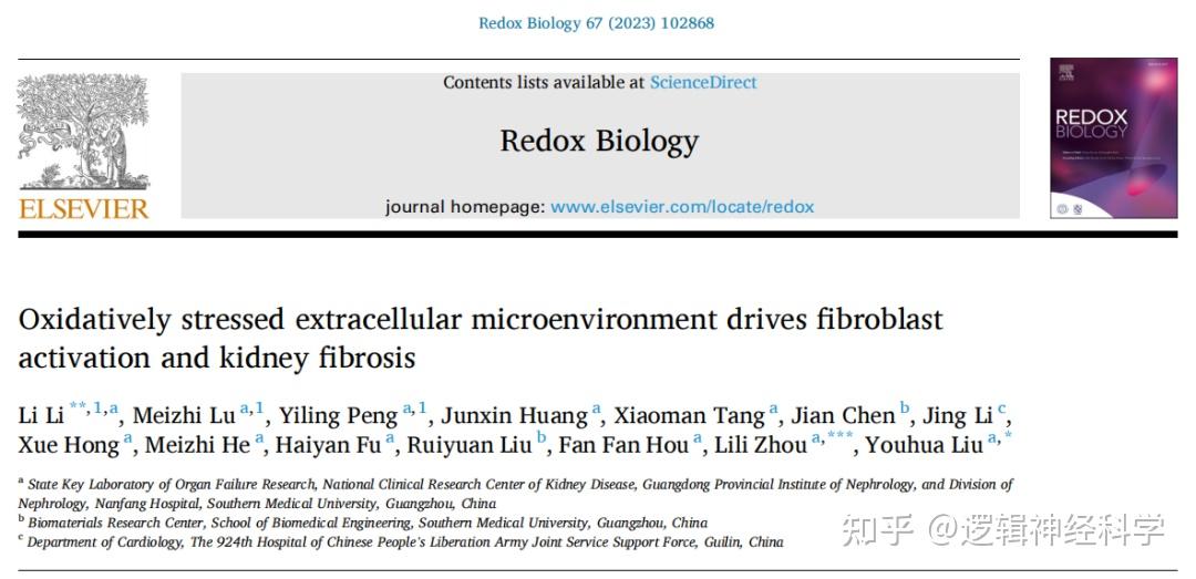 Redox Biol︱南方医科大学团队揭示肾脏纤维化的新机制：细胞外微环境氧化应激驱动成纤维细胞活化和肾纤维化 - 知乎