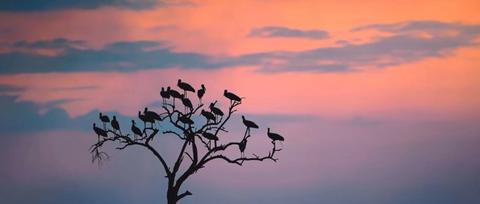 Python中的@cache有什么妙用？ - 知乎