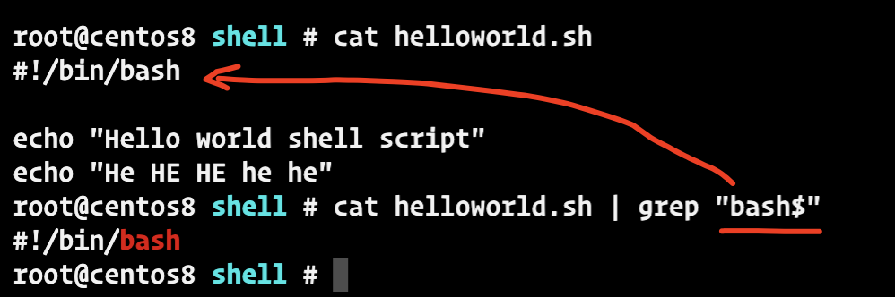 一文掌握shell脚本的基本语法 - 知乎