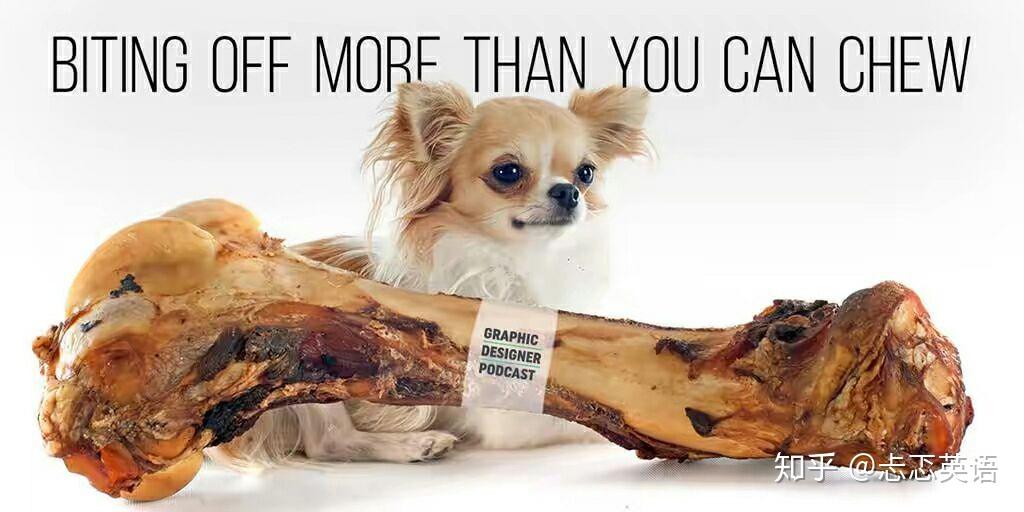 对着英语说英语：Bite off more than you can chew - 知乎