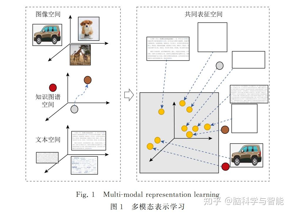 2022->2023必看的十大「深度学习领域综述」论文 - 知乎