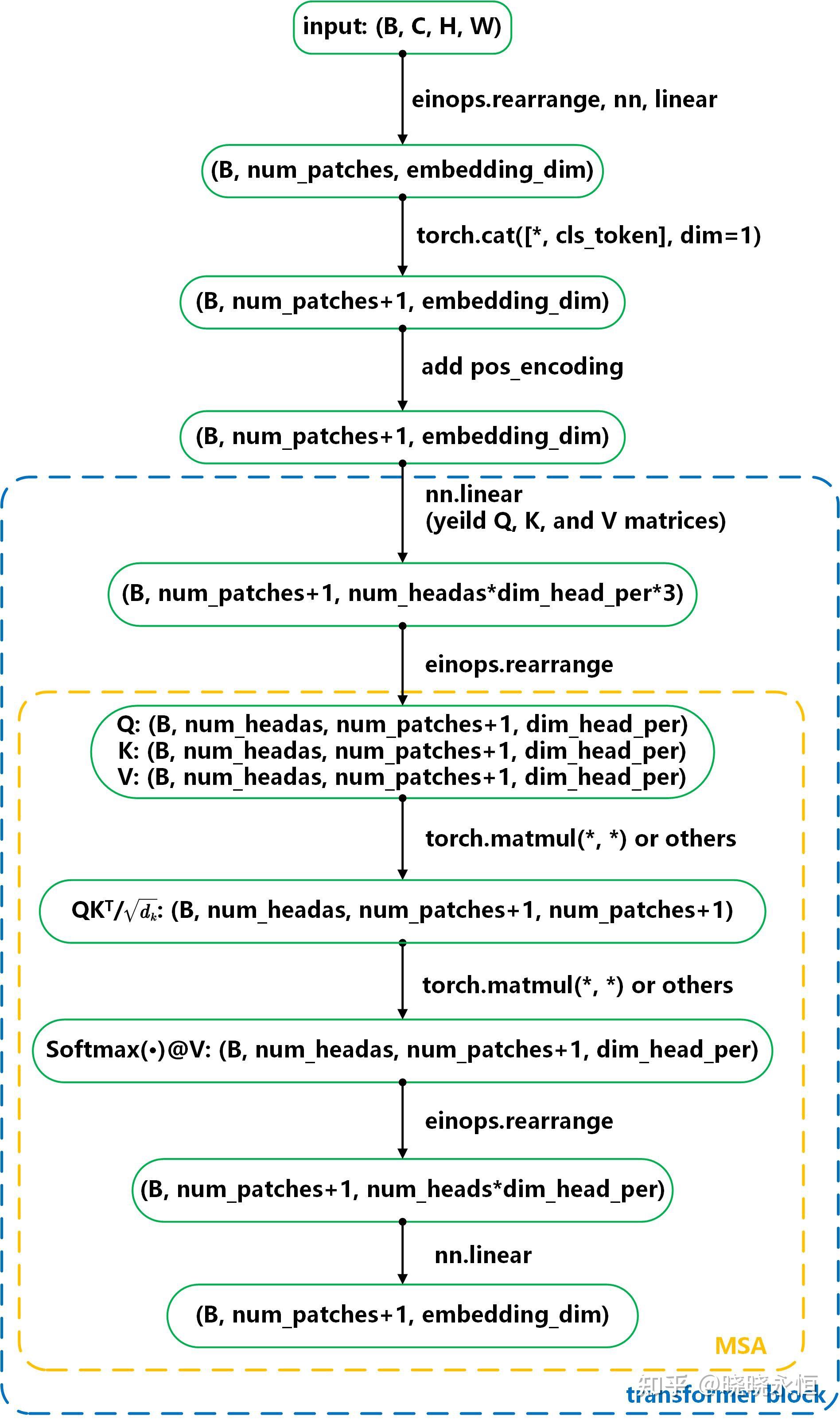 从输入shape分析ViT（vision transformer）的MSA计算复杂度与序列长度的关系 - 知乎