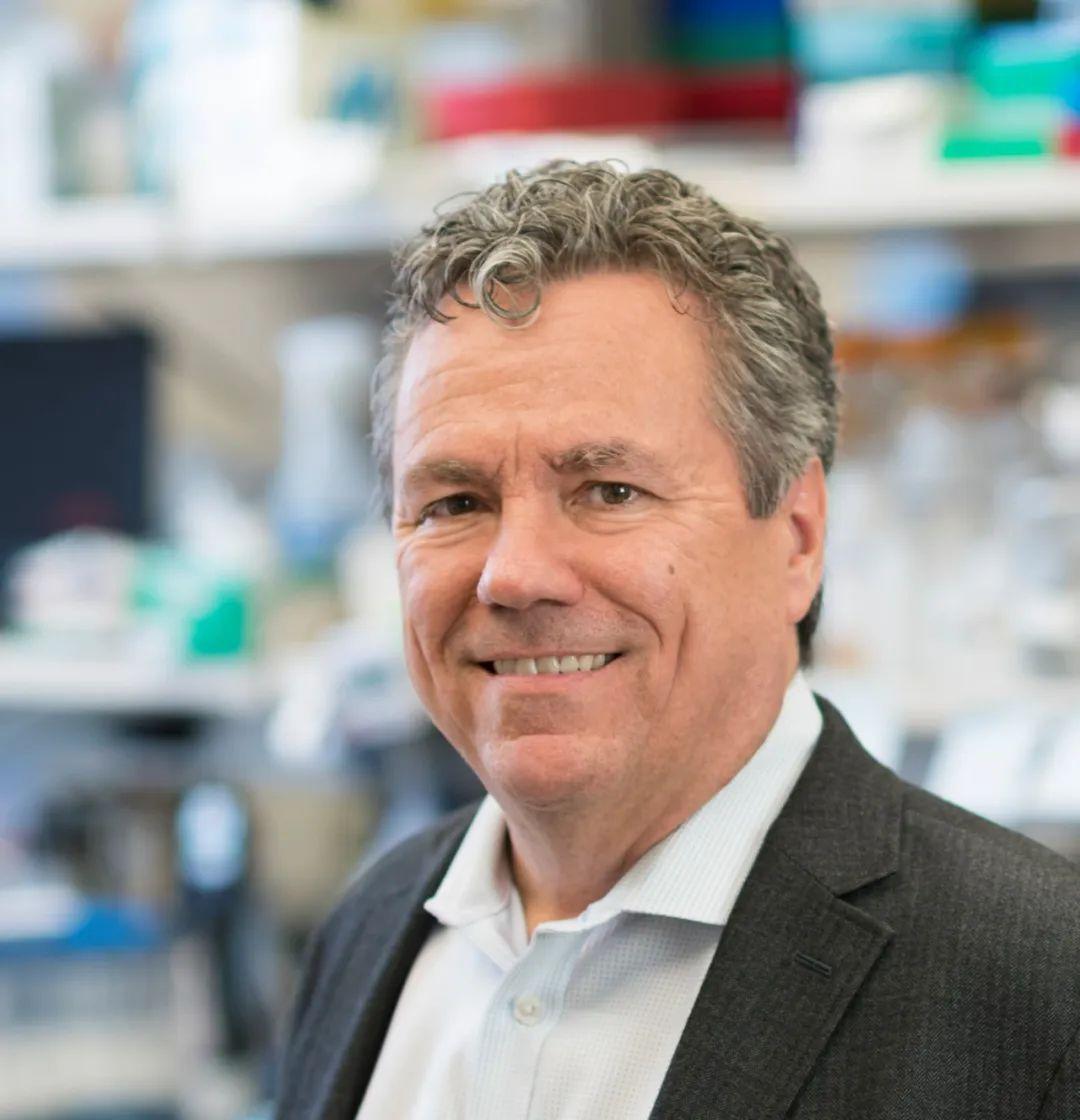 PNAS |低成本高效率的抗肿瘤药物临床前筛选 - 知乎