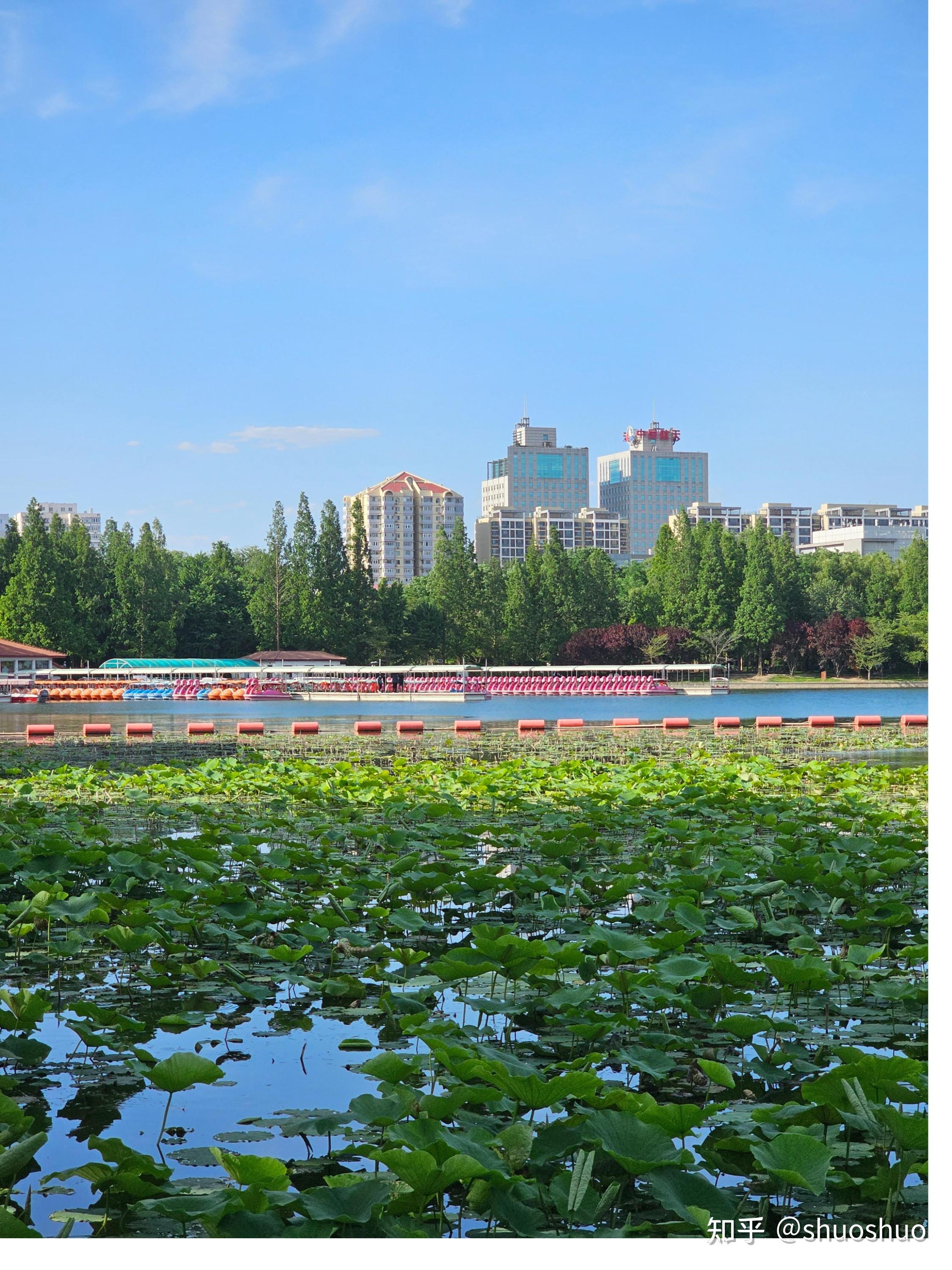 三星S23 ultra拍照体验 - 知乎