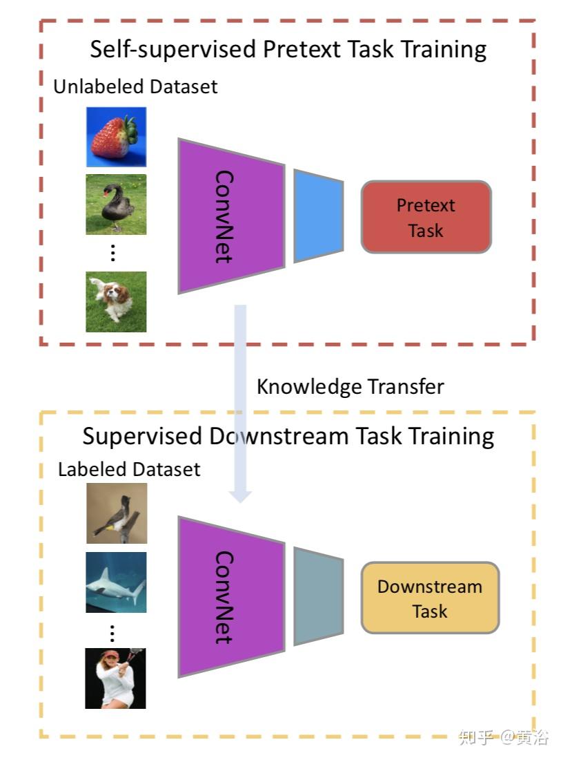 关于深度学习自监督学习的两篇综述文章 - 知乎