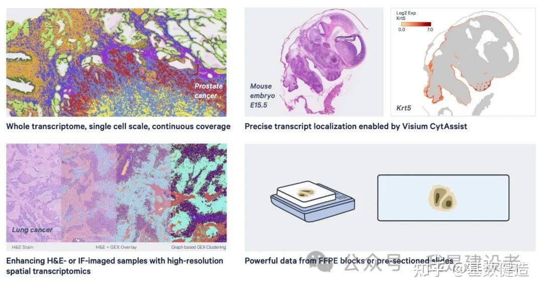 10x Genomics终于推出新的 Visium HD 平台！ - 知乎