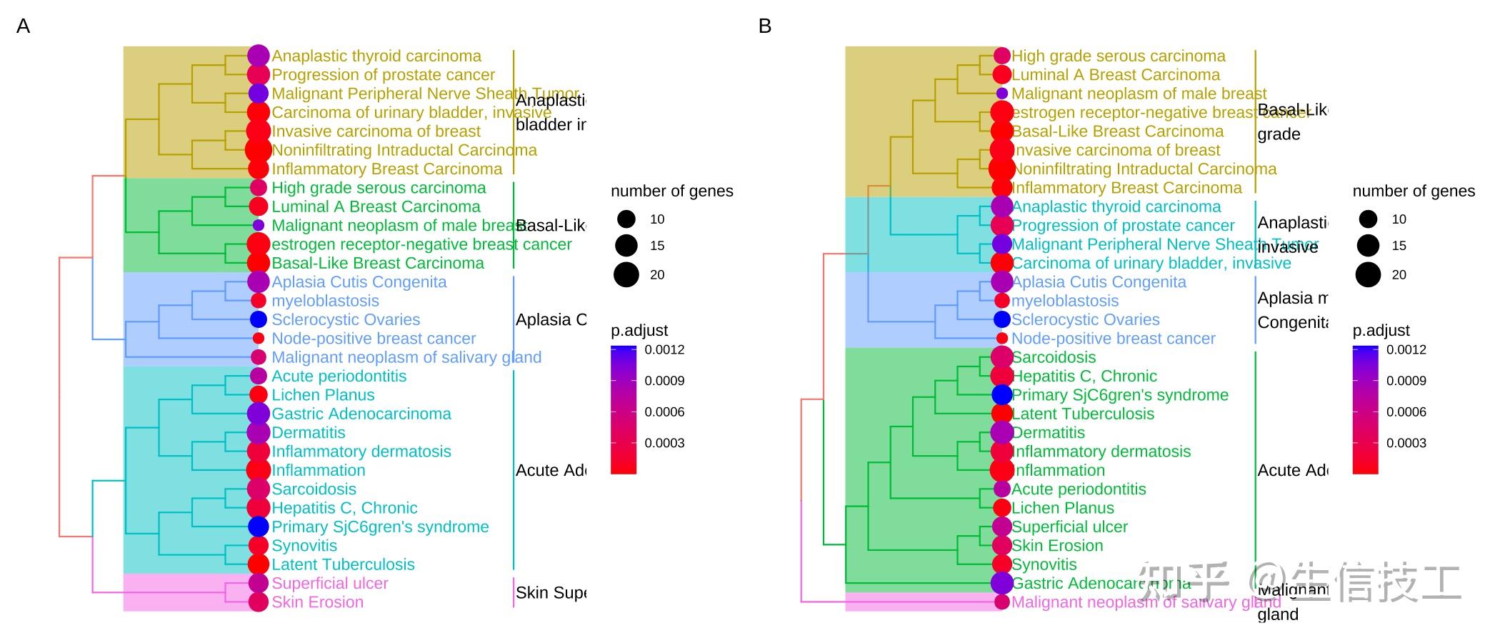 富集分析：（五）clusterProfiler：Visualization - 知乎