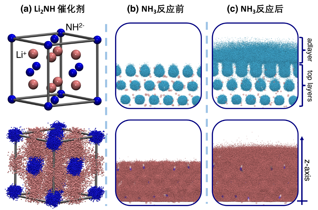 DP还能干这个？Nature Catalysis 杂志报道原位动态研究表面催化反应的工作 - 知乎