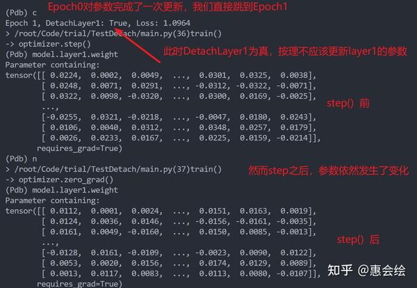 关于pytorch中使用detach并不能阻止参数更新这档子事儿 知乎 8983