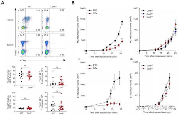 国内首款丨礼新医药CCR8单抗获批临床，CCR8靶点梳理 - 知乎