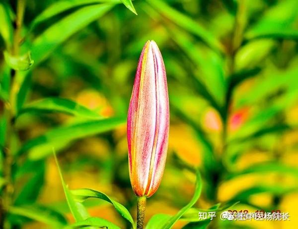 男人时间短怎么自我调节? 知乎