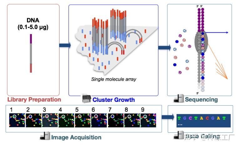 Rna Seq 详细教程:分析流程介绍(1) 知乎
