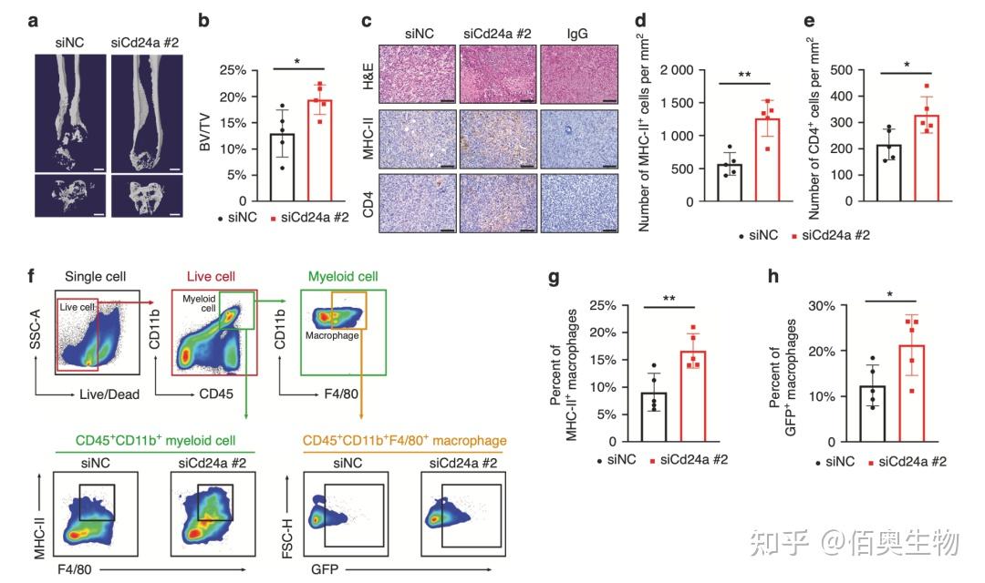 单细胞加免疫双管齐下，干湿结合发13分+1区SCI - 知乎
