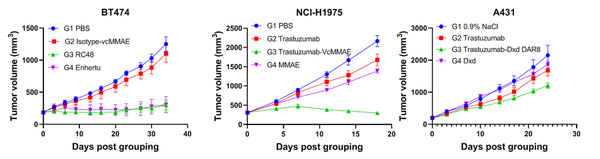 干货！“魔法子弹”——ADC药物的临床前药效评估 - 知乎