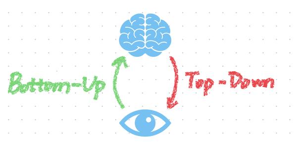 小柴的学习笔记——Top-Down与Bottom-Up - 知乎