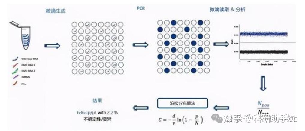 PCR、qPCR、RT-PCR、RT-qPCR、Real-Time PCR傻傻的我分不清楚 - 知乎