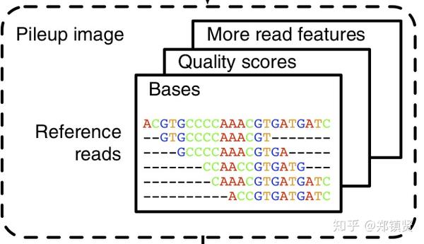 生物信息遇上Deep learning(1): DeepVariant-谷歌图像编码做DNA异常检测 - 知乎