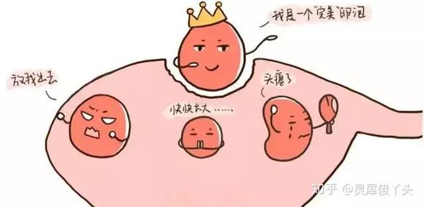 互助问答 24 卵泡发育异常怎么办? 知乎