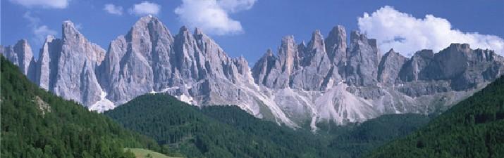 一句一词语 （72）shilly-shally - 知乎