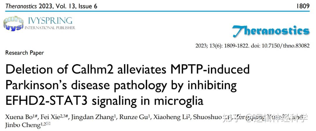 Sci Adv+Theranostics︱军事医学研究院袁增强/中央民族大学程金波团队揭示钙稳态调节蛋白Calhm2调控神经退行性疾病新机制 - 知乎