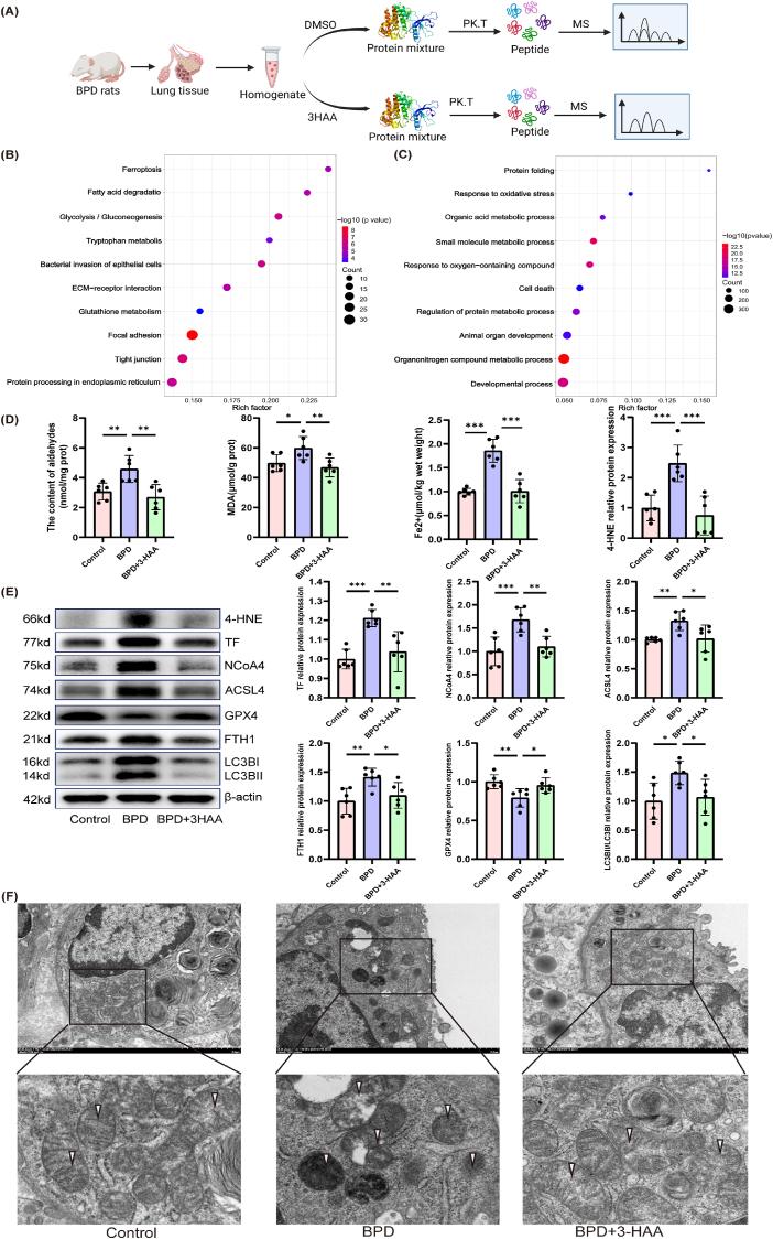 联用 LiP-MS 技术与 SPR 技术鉴定和验证蛋白相互作用 - 知乎