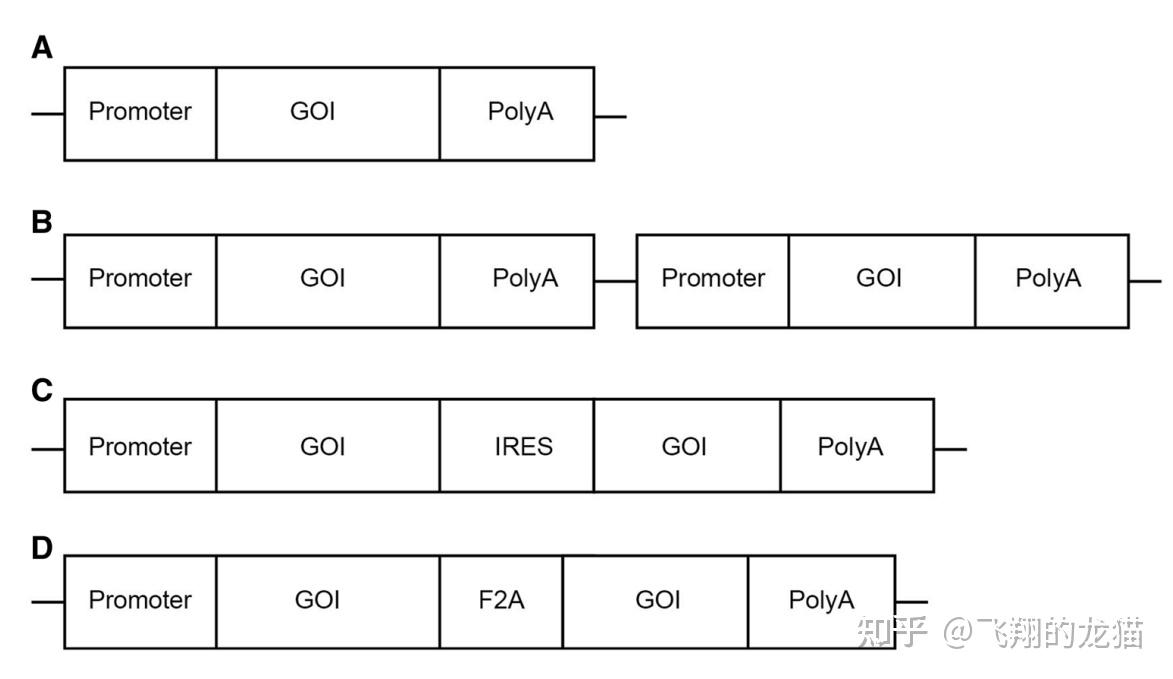 Step by Step:从头开始的大规模单抗生产工艺（一）： - 知乎
