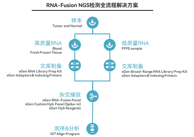 【全新应用】IDT 全新推出基因融合RNA靶向捕获NGS全流程解决方案 - 知乎
